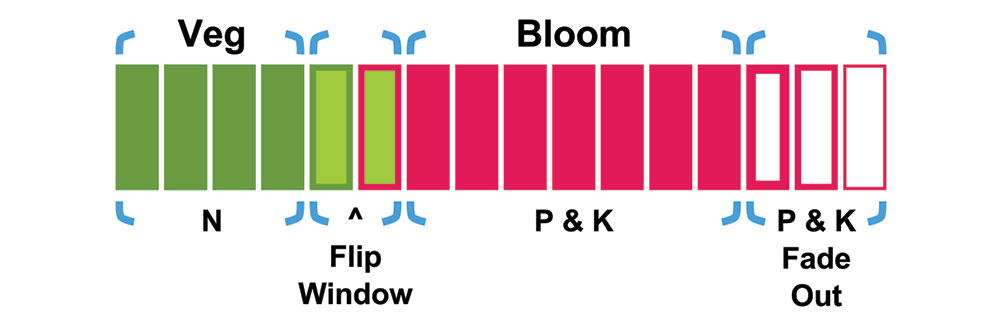 Grow Dots - Real Growers Inc