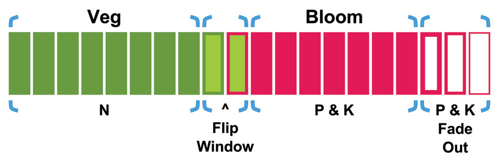 Grow Dots - Real Growers Inc