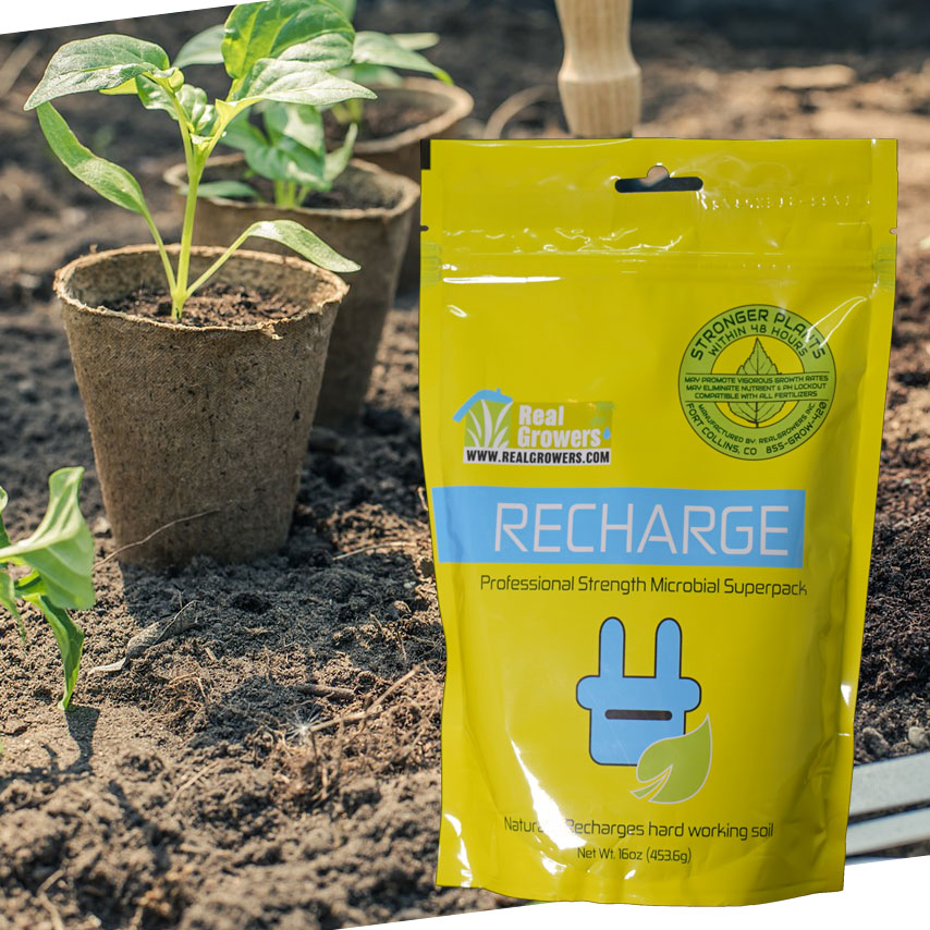 Recharge - Real Growers Inc